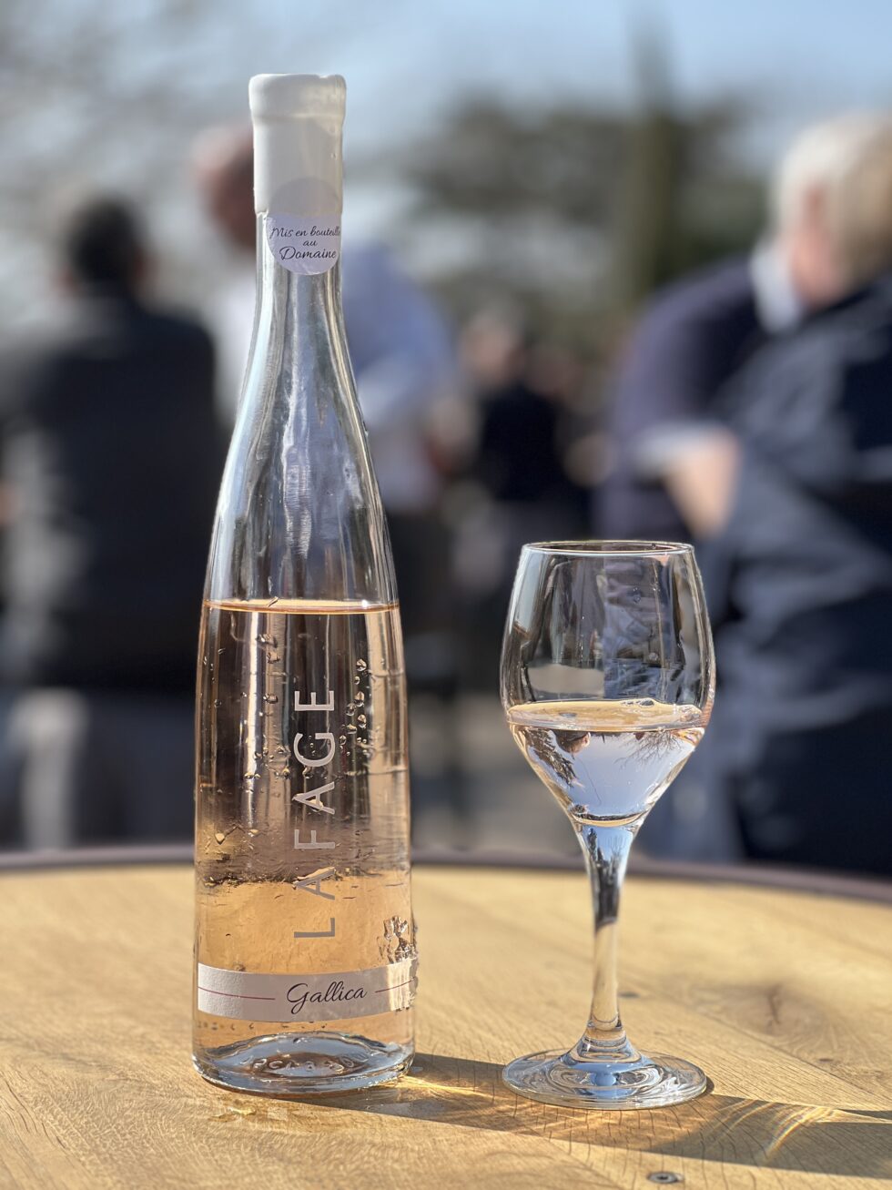 Accueil Lafage - Domaine Lafage